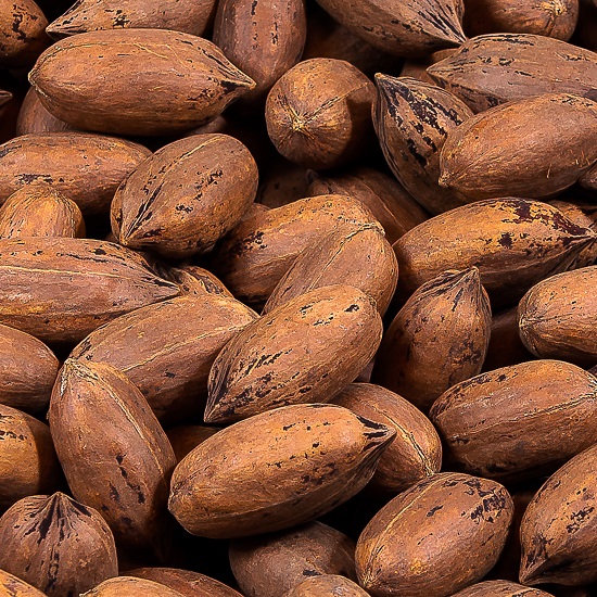 10 LBS SQUIRREL PECANS