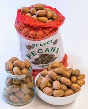 Pecans, Pecan Candies | Berdoll Pecan Candy & Gift Co.